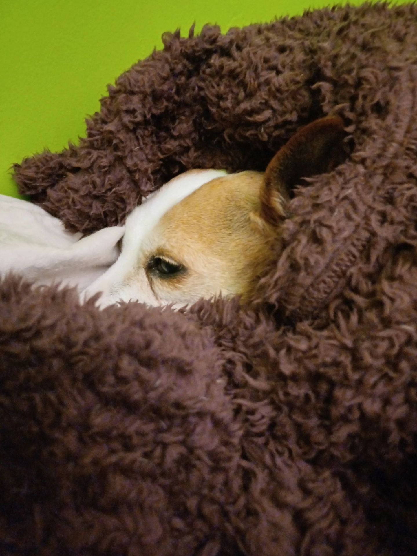 From Heff to Heaven: What Brings a Tear of Joy… – UNDER THE WILL… OVER ...